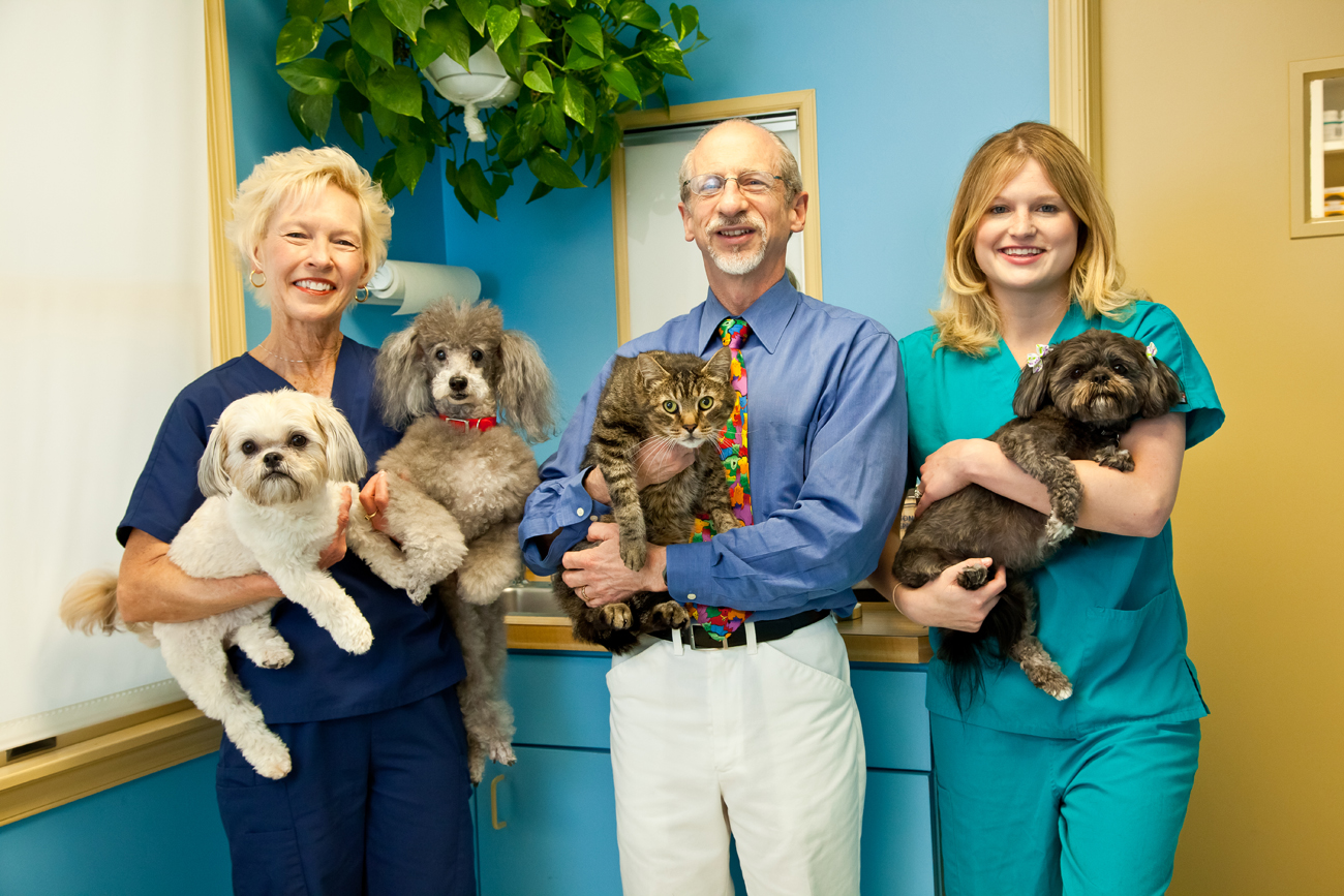 South Jersey Veterinary Hospitals - Gray Fox Animal Hospital